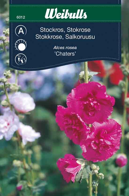Stokrose miks ( min. 40 frø) - Stokrose - Alcea (Althaea) - Frøtorvet ApS