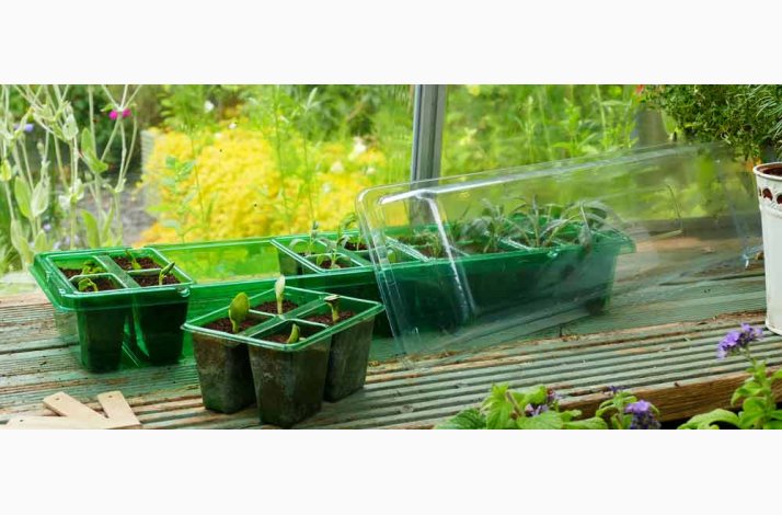 Minidrivhus Såbakke med låg 20 celler - Så og prikle tilbehør ...