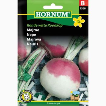 Majroer - forskellige varianter - dyrk majroer i din køkkenhave fra frø